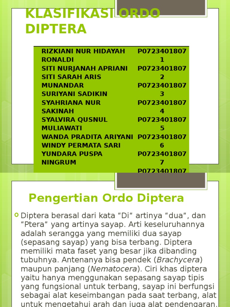 Klasifikasi Ordo Diptera dan Contohnya | PDF