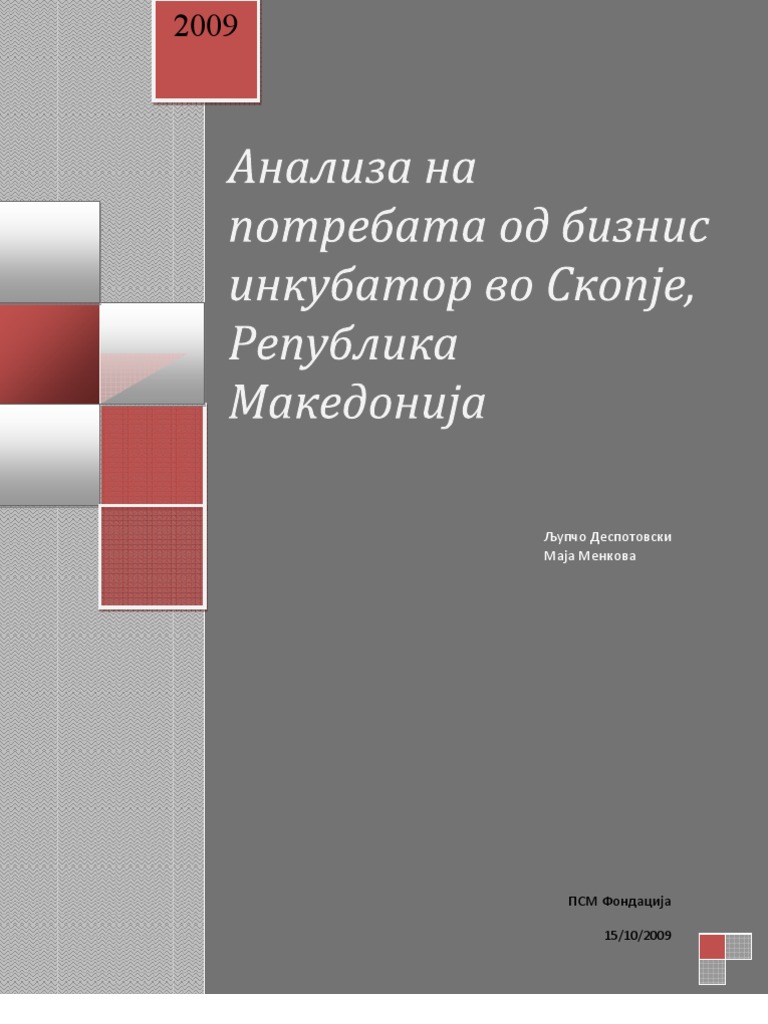 Biznis Inkubatori | PDF