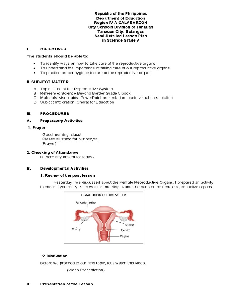 Final Draft Lesson Plan | Download Free PDF | Lesson Plan | Menstruation