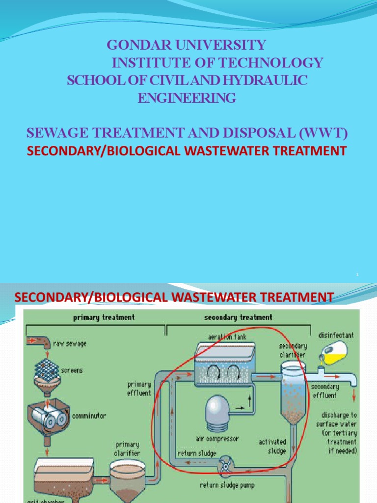Chapter3 Part2 TF | PDF | Sewage Treatment | Environmental Engineering