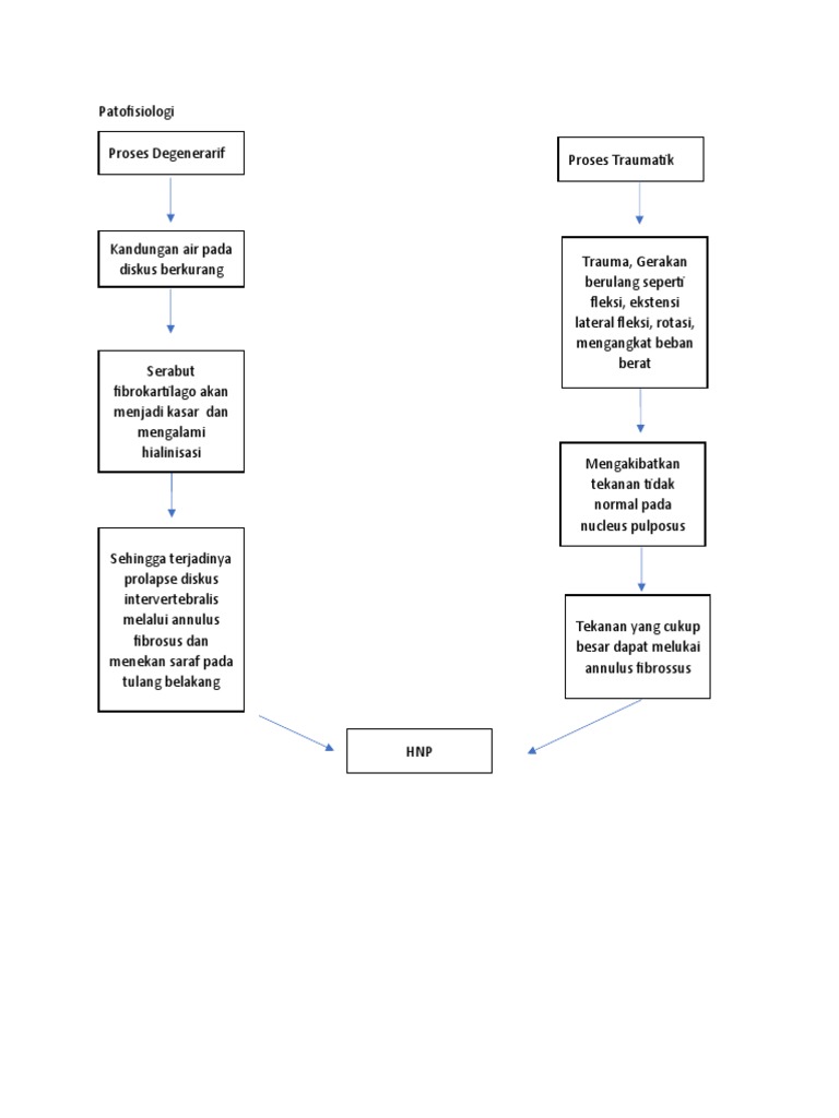 Patofisiologi HNP | PDF