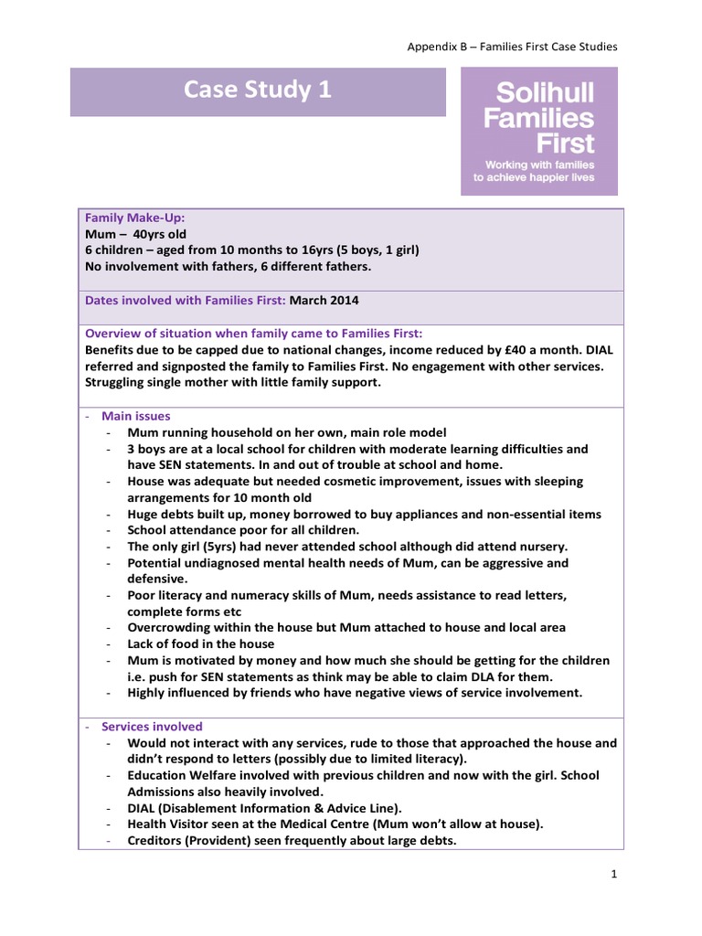 Item 5 - Appendix B Family Case Studies | PDF | Preschool | Parenting