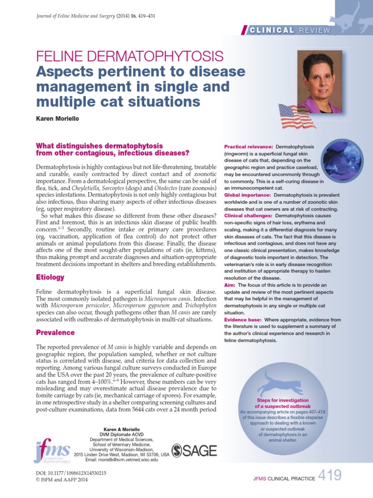 Feline Dermatophytosis | PDF | Infection | Clinical Medicine
