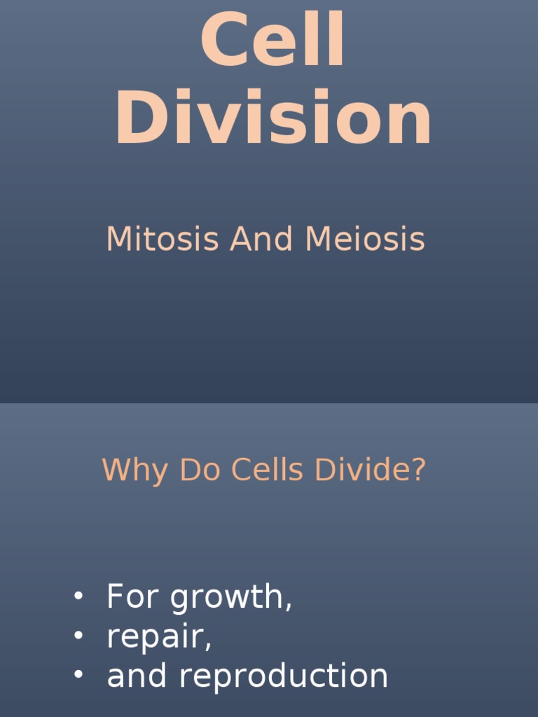 Cell Division | PDF | Meiosis | Mitosis