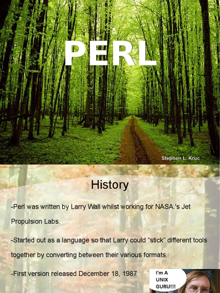 Stephen L. Kruc | PDF | Perl | Areas Of Computer Science