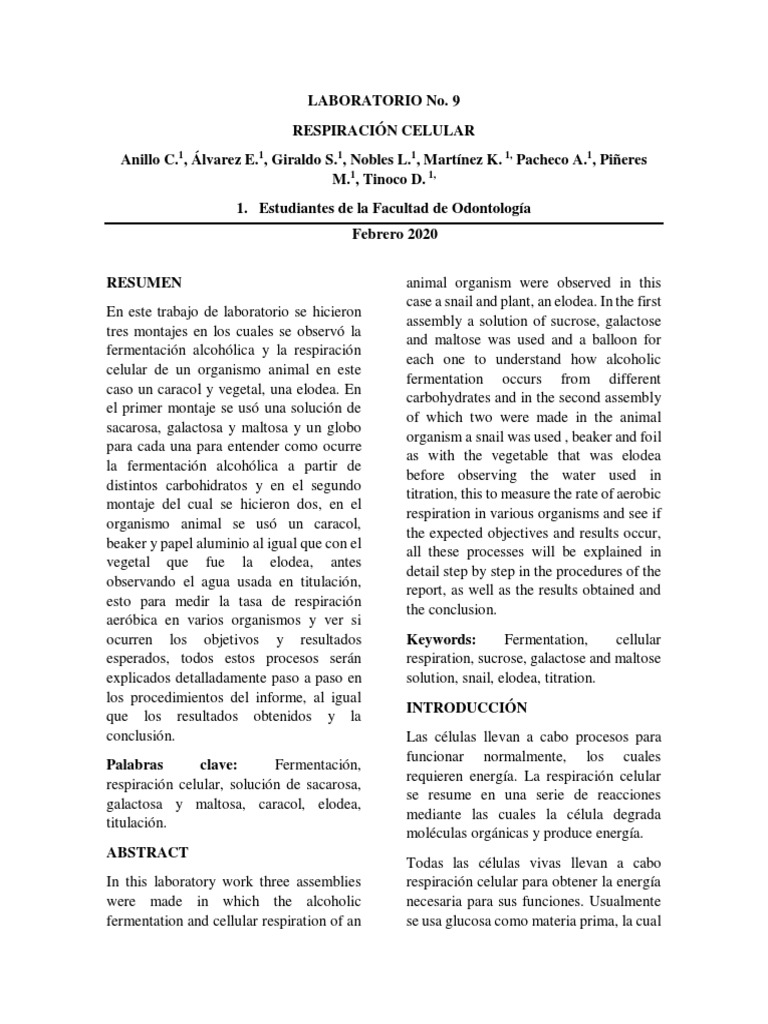 Laboratorio No 9 Respiracion Celular | PDF | Glucólisis | Trifosfato de adenosina