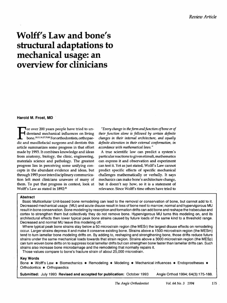 Wolff's Law and Bone's Structural Adaptations To Mechanical Usage-And ...