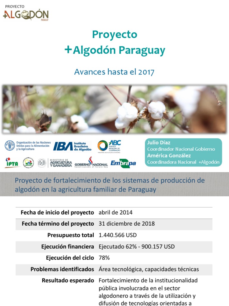 Avances del Proyecto +Algodón Paraguay | PDF | Paraguay | Siembra