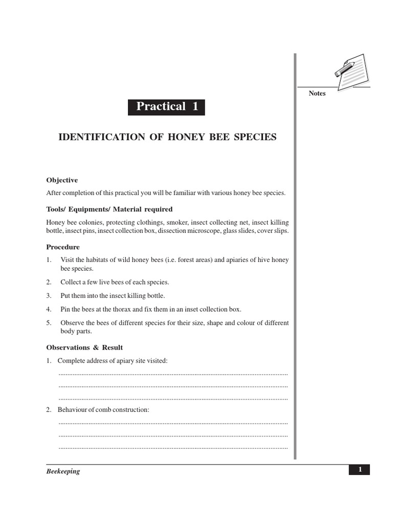Identify Honey Bee Species & Castes | PDF | Beehive | Beekeeping