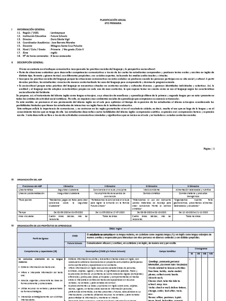 Planificacion Anual 6to Nueva | PDF | Educación primaria | Información