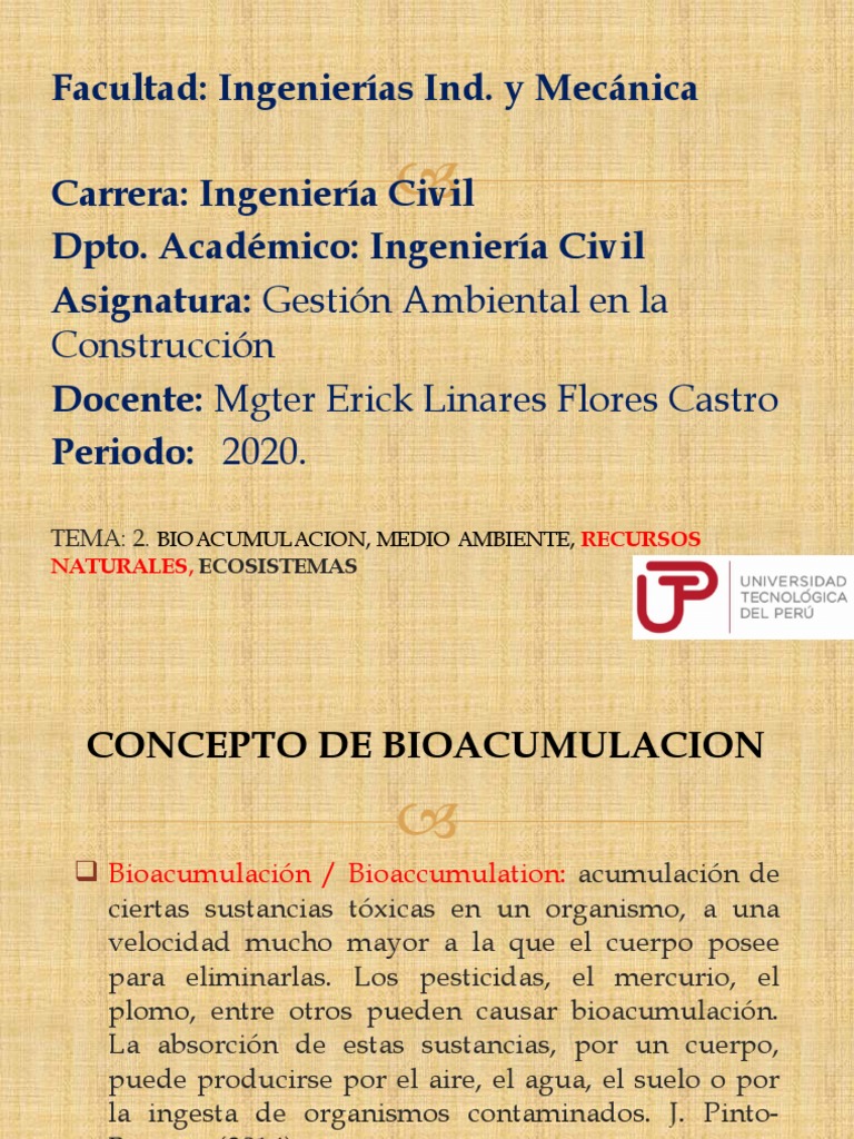 Bioacumulación y Ecosistemas en Construcción | PDF | Entorno natural ...