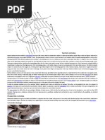 CheCalc Vessel Volume & Level Calculation | PDF | Volume