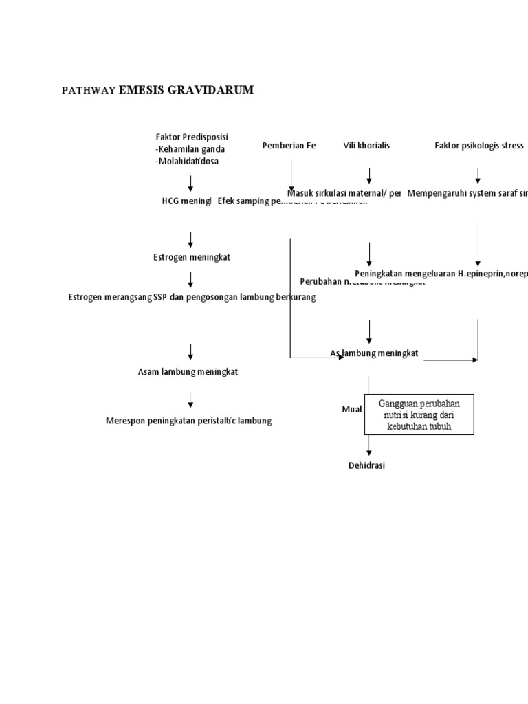 Pathway Hiperemesis Gravidarum Ibu Hamil | PDF