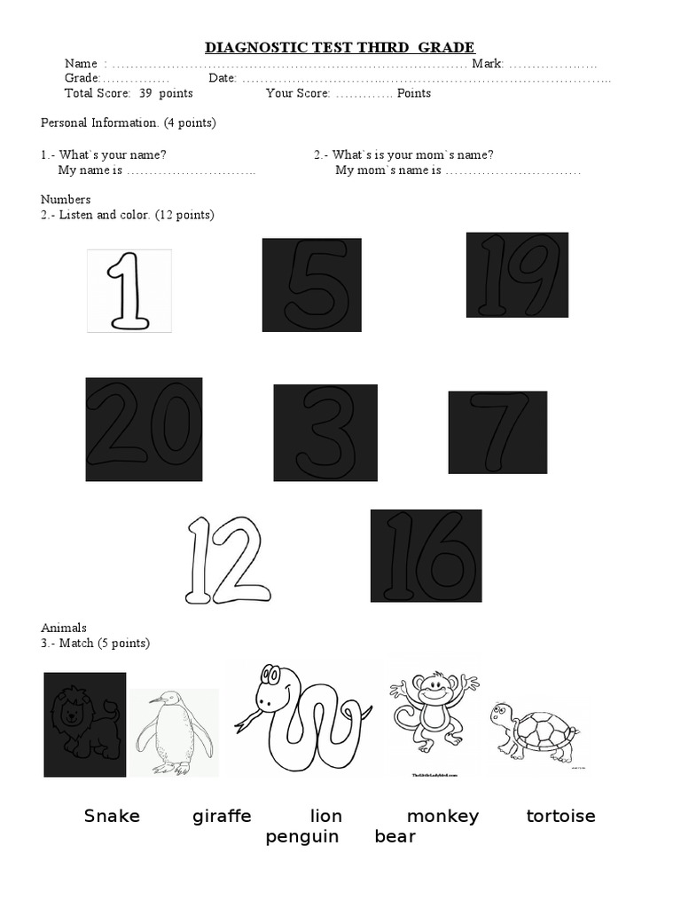 Diagnostic Test Third Grade | PDF