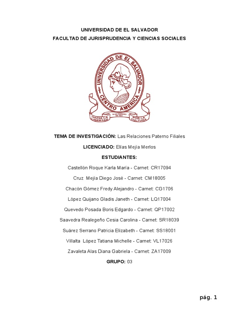 Relaciones Paterno Filiales-Ues | PDF | Menor (ley) | Familia