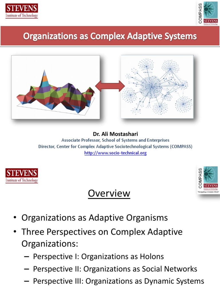 Organizations As Complex Adaptive Systems | PDF | Social Network ...