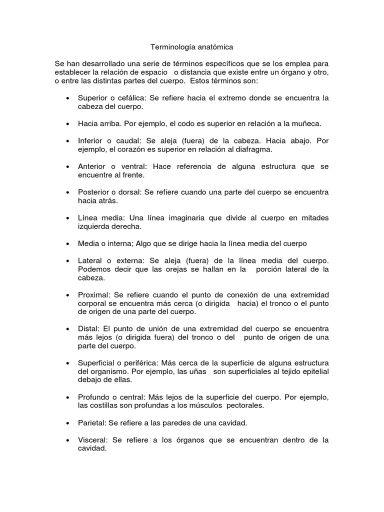 Terminología Anatómica y Morfología Animal | PDF | Términos anatómicos ...