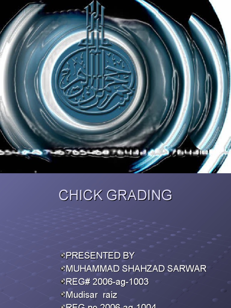 Chick Grading | PDF | Birds | Paravians
