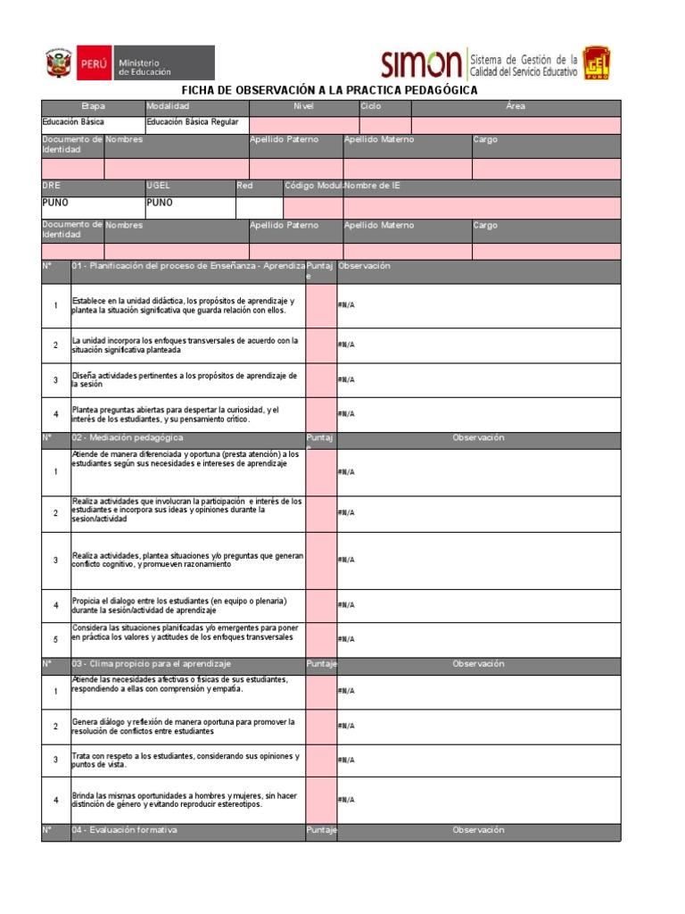 Ficha Simon de Observación A La Practica Pedagógica | PDF | Aprendizaje | Maestros