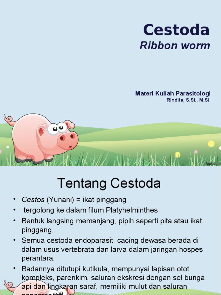 Cestoda | PDF