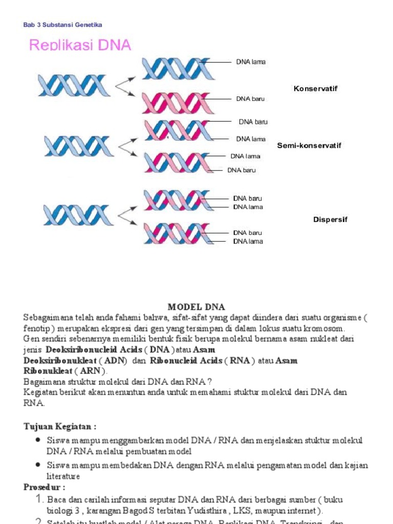 Struktur dan Model DNA/RNA | PDF | Kajian Bahasa Asing | Sains & Matematika