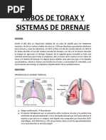 Guía para colocación de tubo de tórax | PDF | Tórax (anatomía humana ...