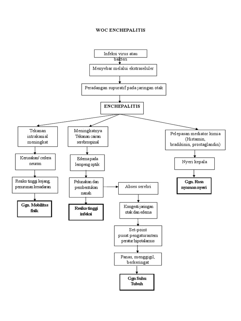 WOC Encephalitis | PDF