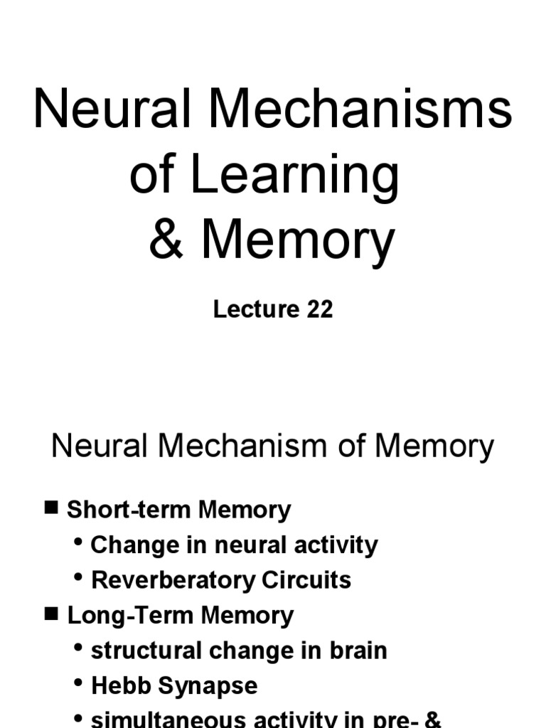 B22 Neural Mechanisms of Learning & Memory | PDF | Neuroscience | Long ...
