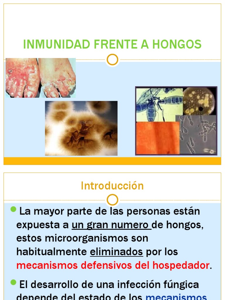 Inmunidad Frente A Hongos 2016-1 | PDF | Citocina | Sistema inmune