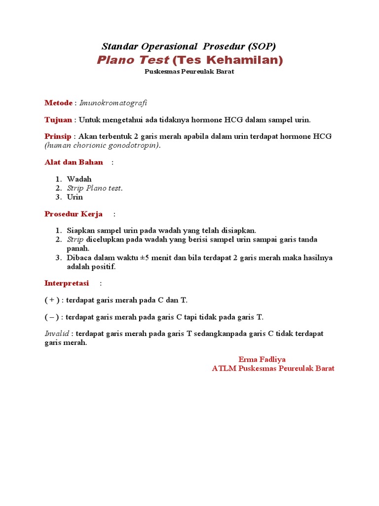Sop Plano Test | PDF