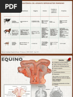 Anatomia y Fisiologia Del Rumen | PDF | Rumiante | Digestión