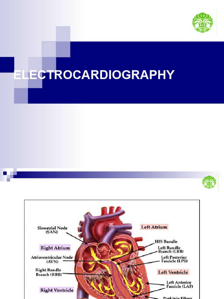 ECG Interpretation | PDF | Electrocardiography | Cardiovascular Diseases