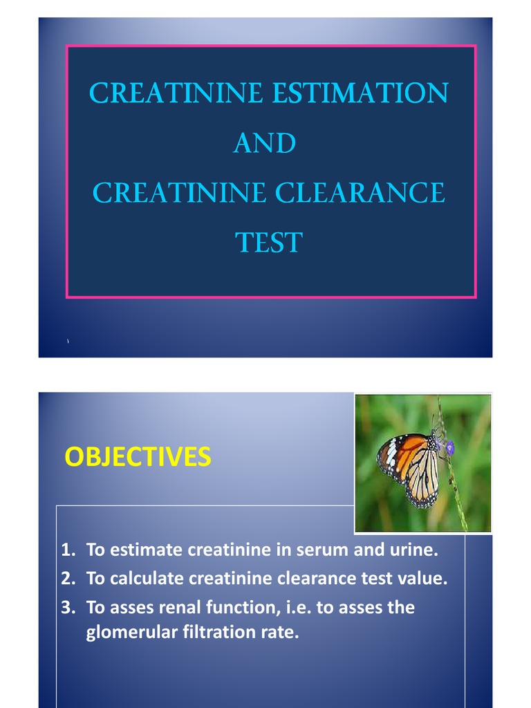 Creatinine Estimation and Creatinine Clearance Test | PDF | Renal ...