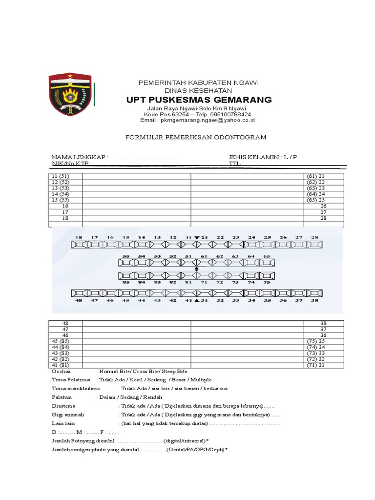 ODONTOGRAM | PDF