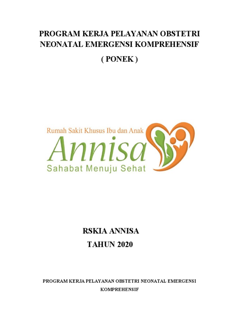 Program Kerja Ponek | PDF