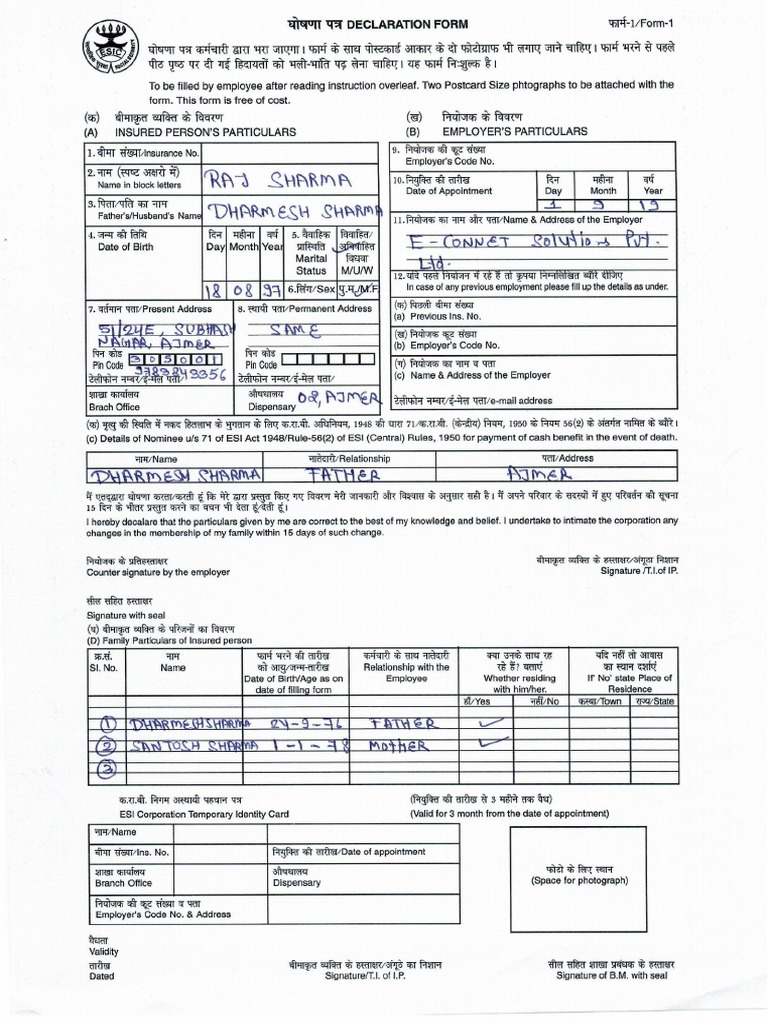 Filled Sample ESI Form PDF | PDF