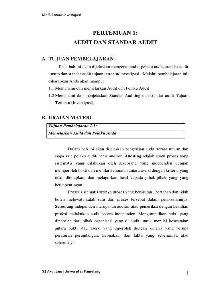 Standar Audit dan Investigasi Audit | PDF