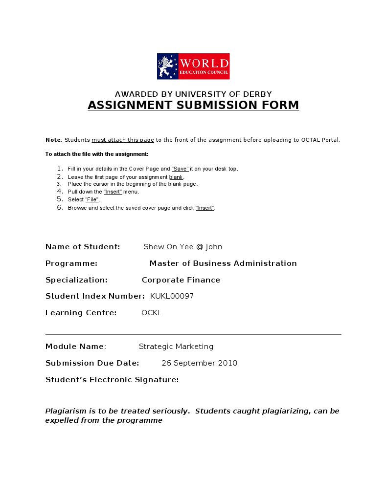 SMM - Assignment | PDF | Market Segmentation | Marketing Strategy