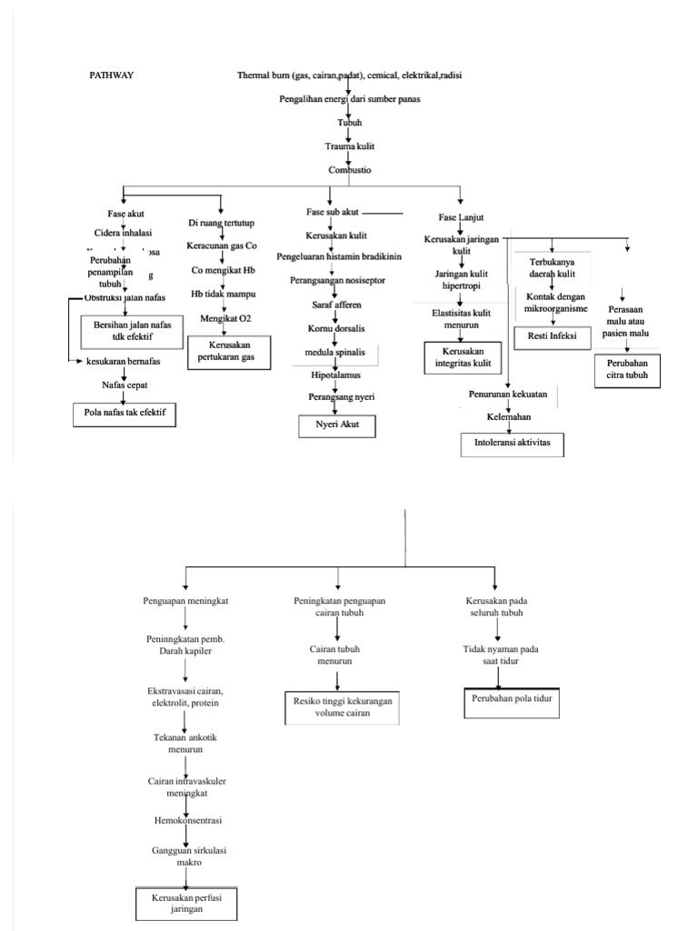 Pathway Luka Bakardoc | PDF
