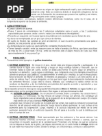 Anatomia Mosca Completa Con Imagenes | PDF