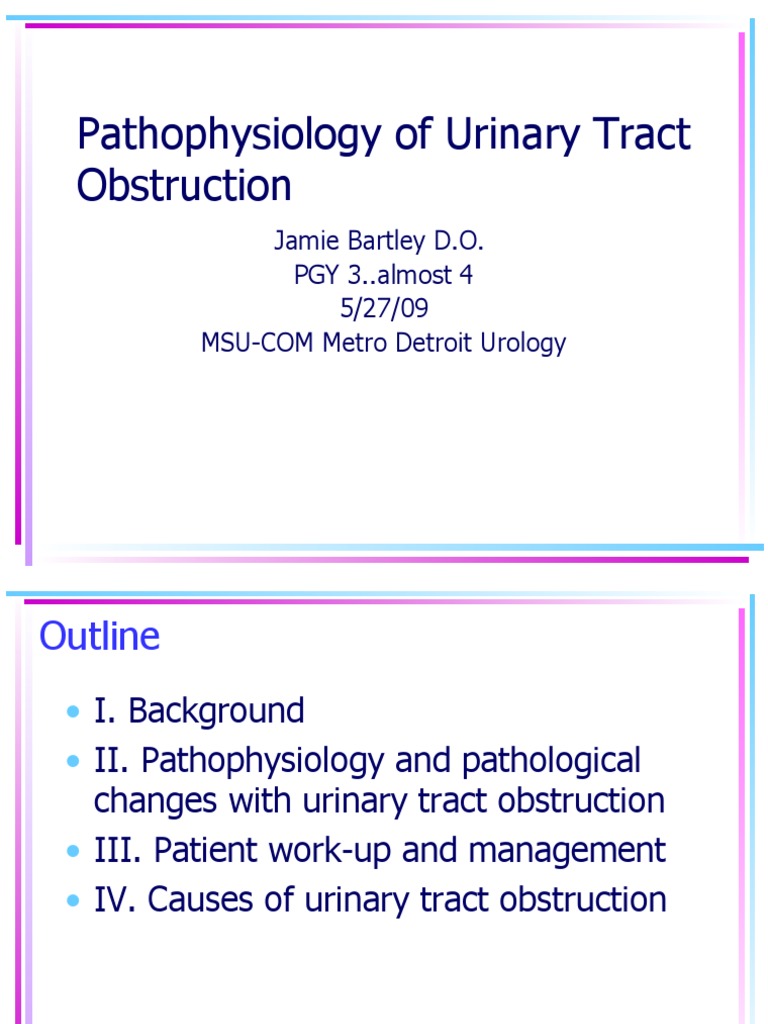 Pathophysiology of Urinary Tract Obstruction | PDF | Kidney | Urinary ...