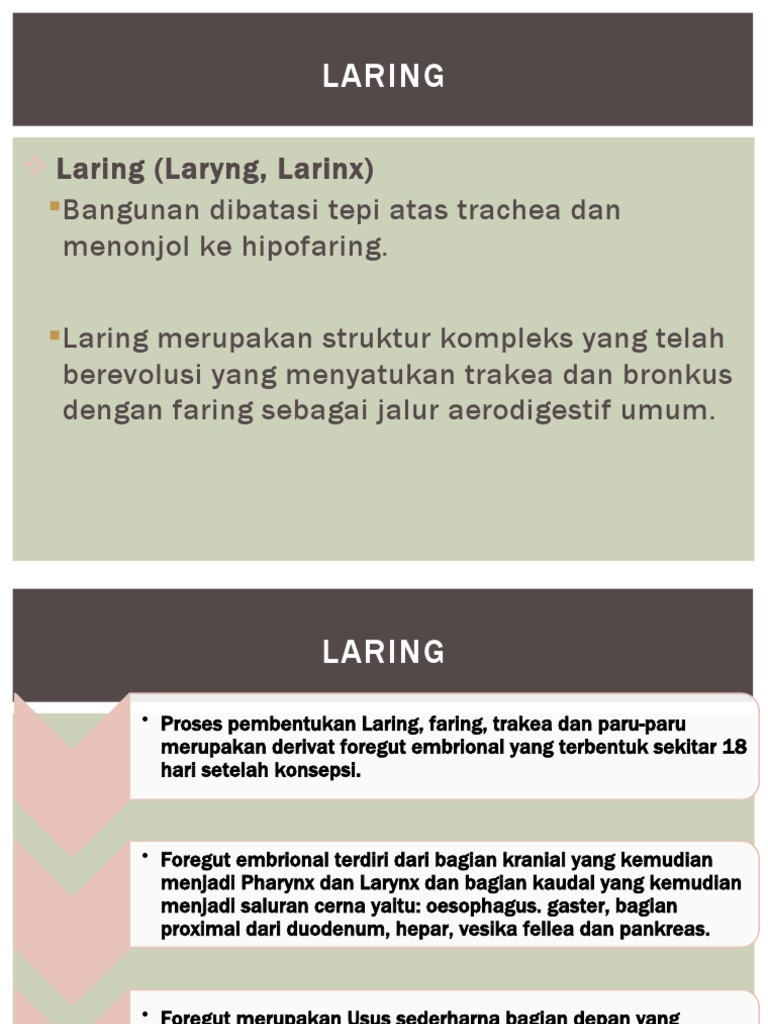Anatomi Laring | PDF