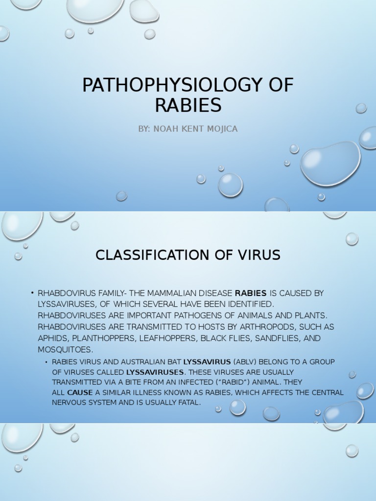Pathophysiology of Rabies | PDF