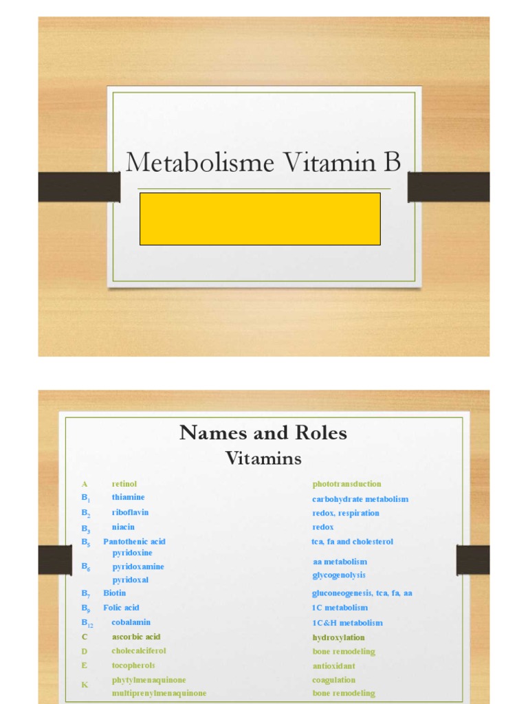 Metabolisme Vitamin B Pdf
