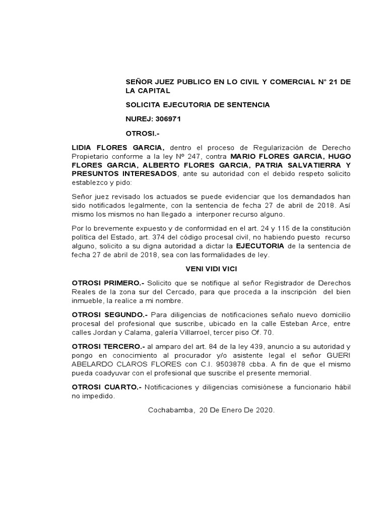 Solicitud de ejecutoria de sentencia en proceso de regularización de derecho propietario | PDF