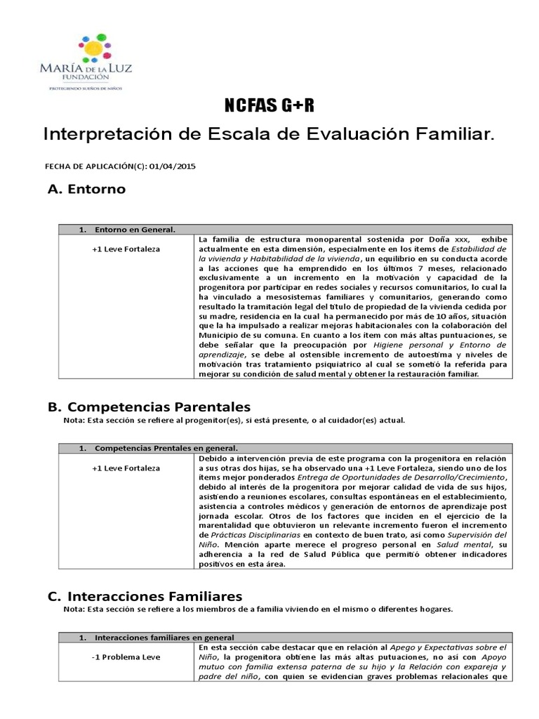 NCFAS Interpretación Ejemplo | PDF | Salud mental | Acción (filosofía)