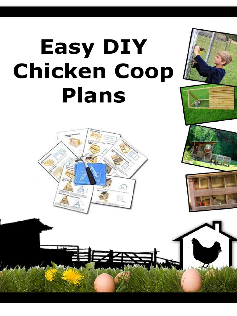 Free 5 Chicken Barn Plans PDF | PDF | Chicken | Business