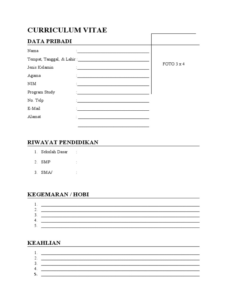 CV Template | PDF