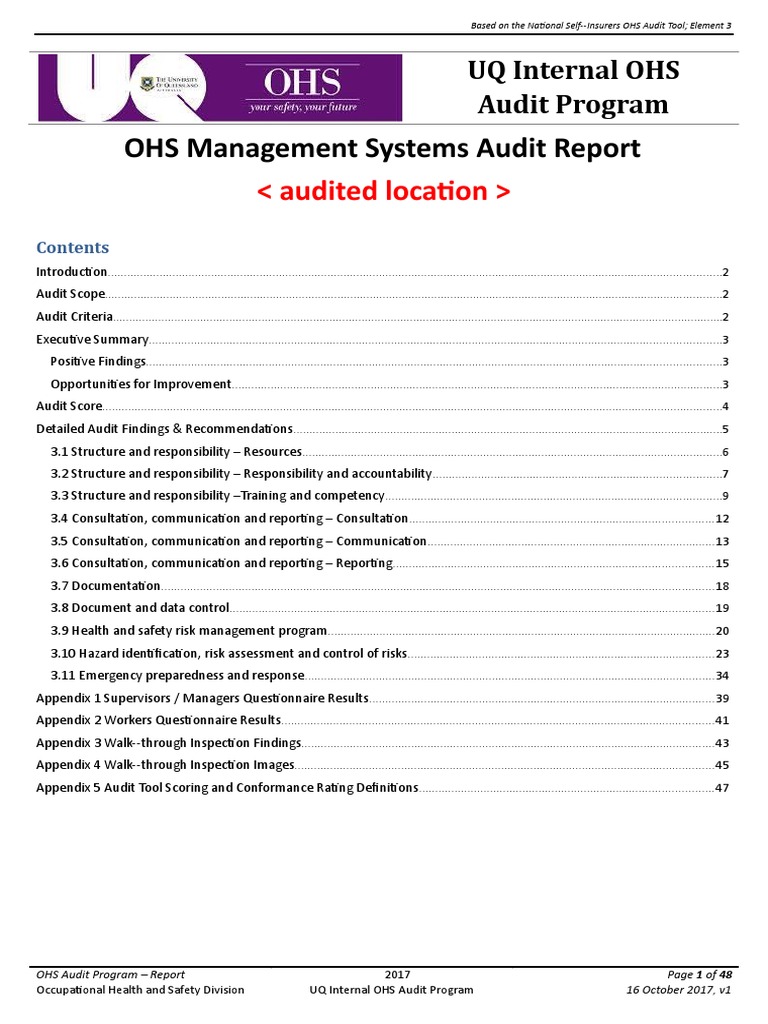 Audit Report Template 03 | PDF | Occupational Safety And Health | Risk ...