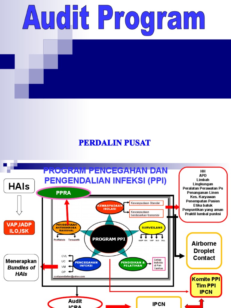 Audit Program Ppi | PDF